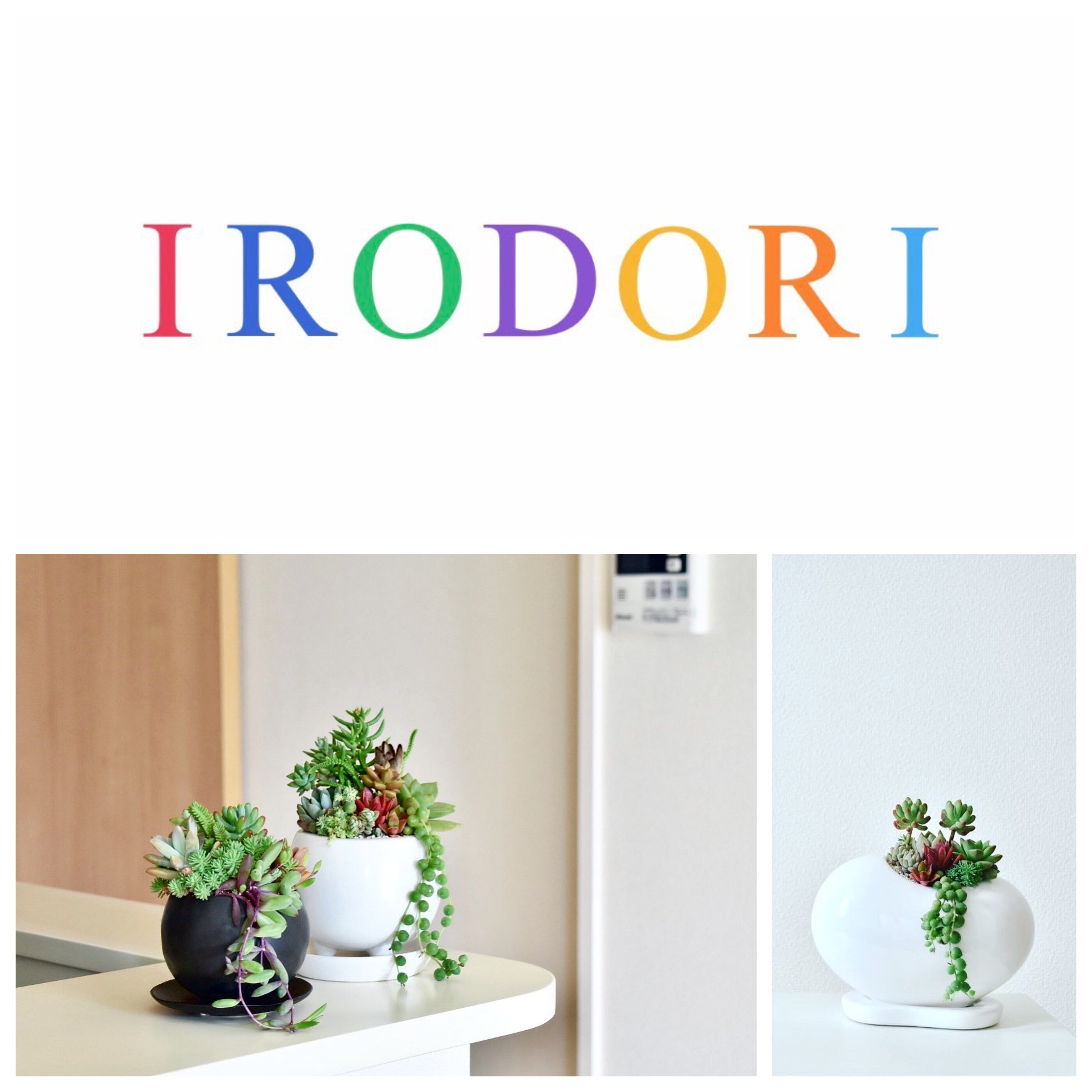 IRODORI