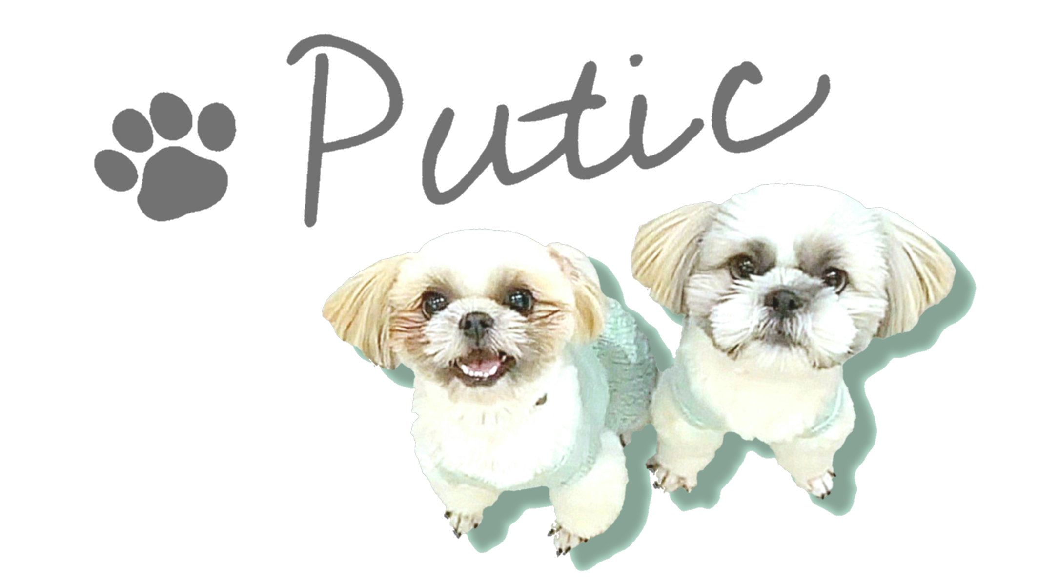 小型犬服専門店 Putic