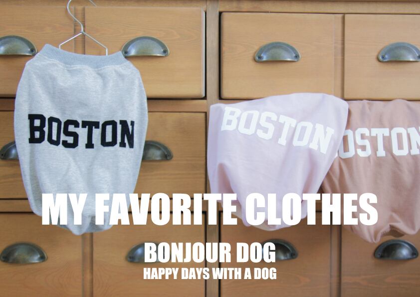 SHOPPING GUIDE | bonjour dog