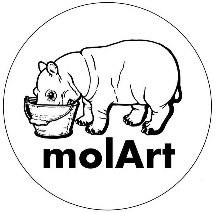 molArt モルアート