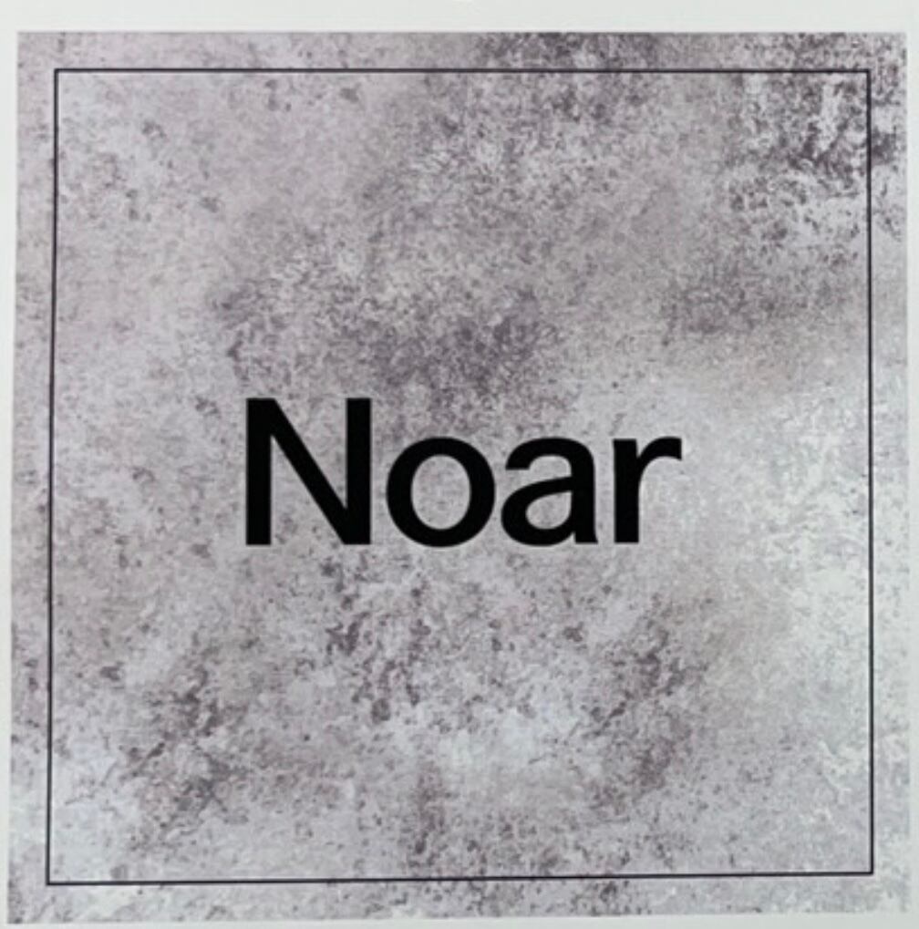 Noar /ノアール