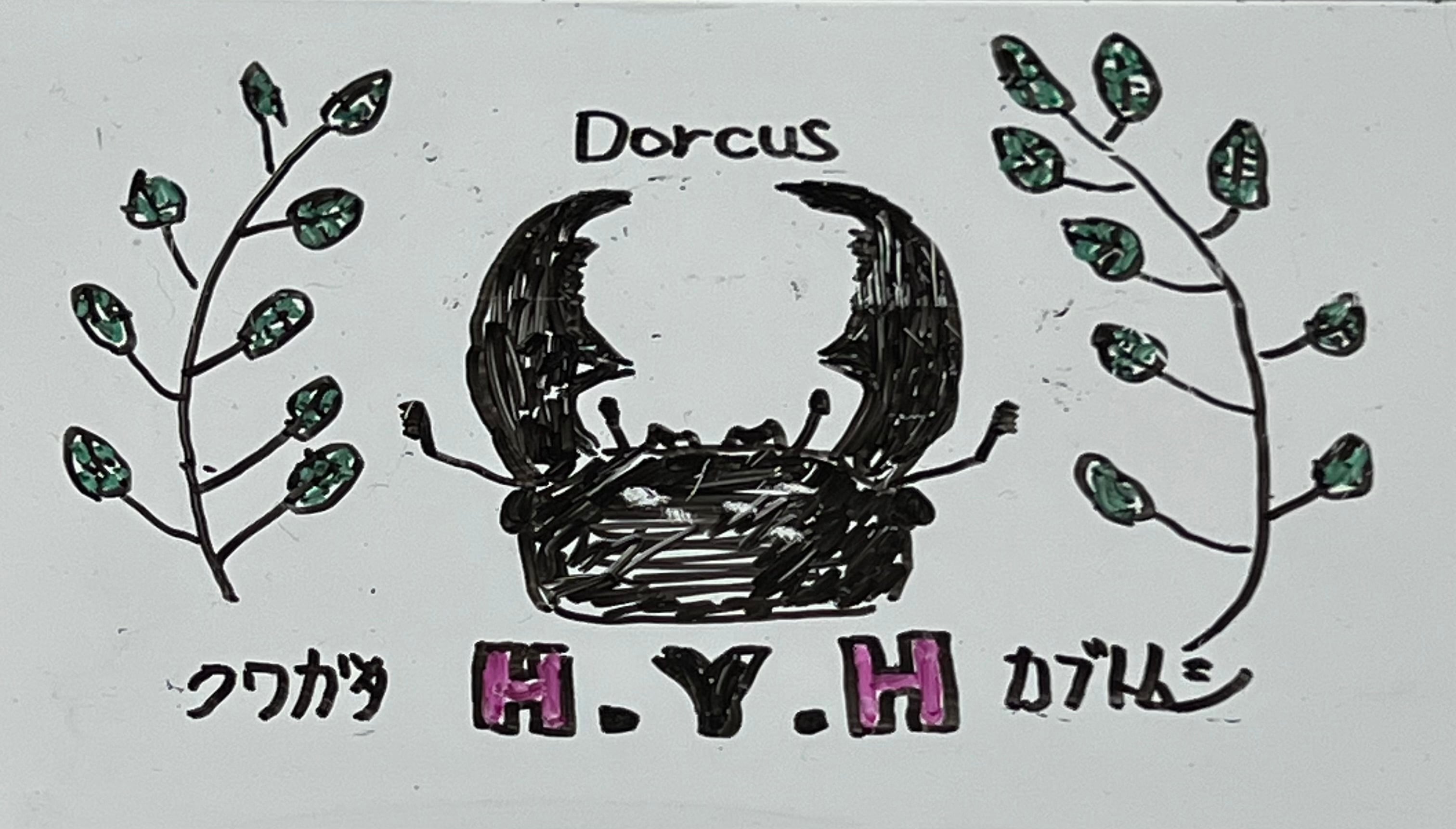 H.Y.H DORCUS