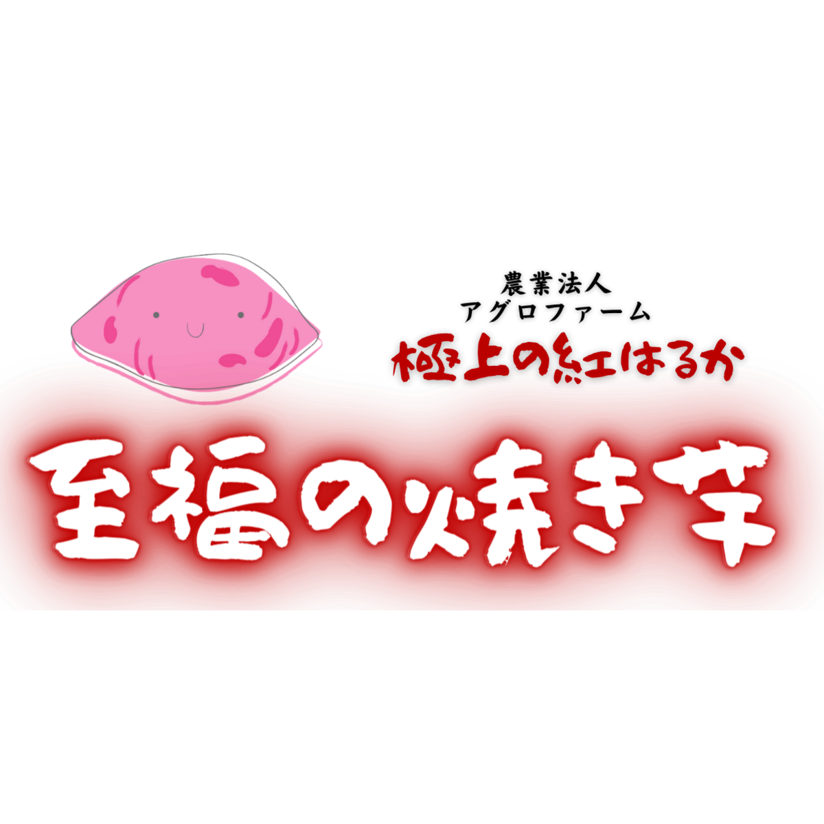 産地直送 通販 お取り寄せさつまいも 【アグロファーム】