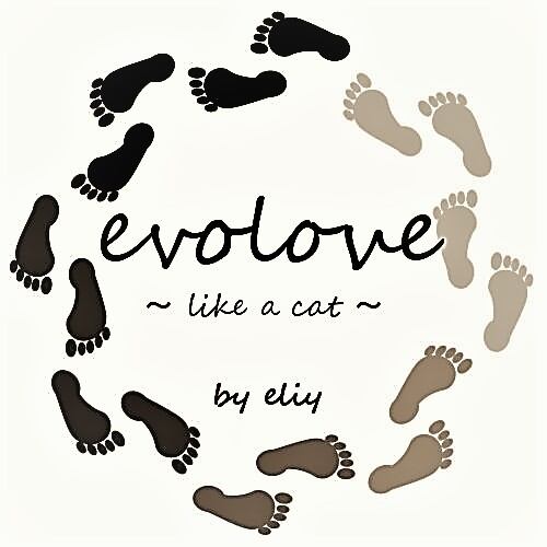 evolove ～eliyのあしなか～