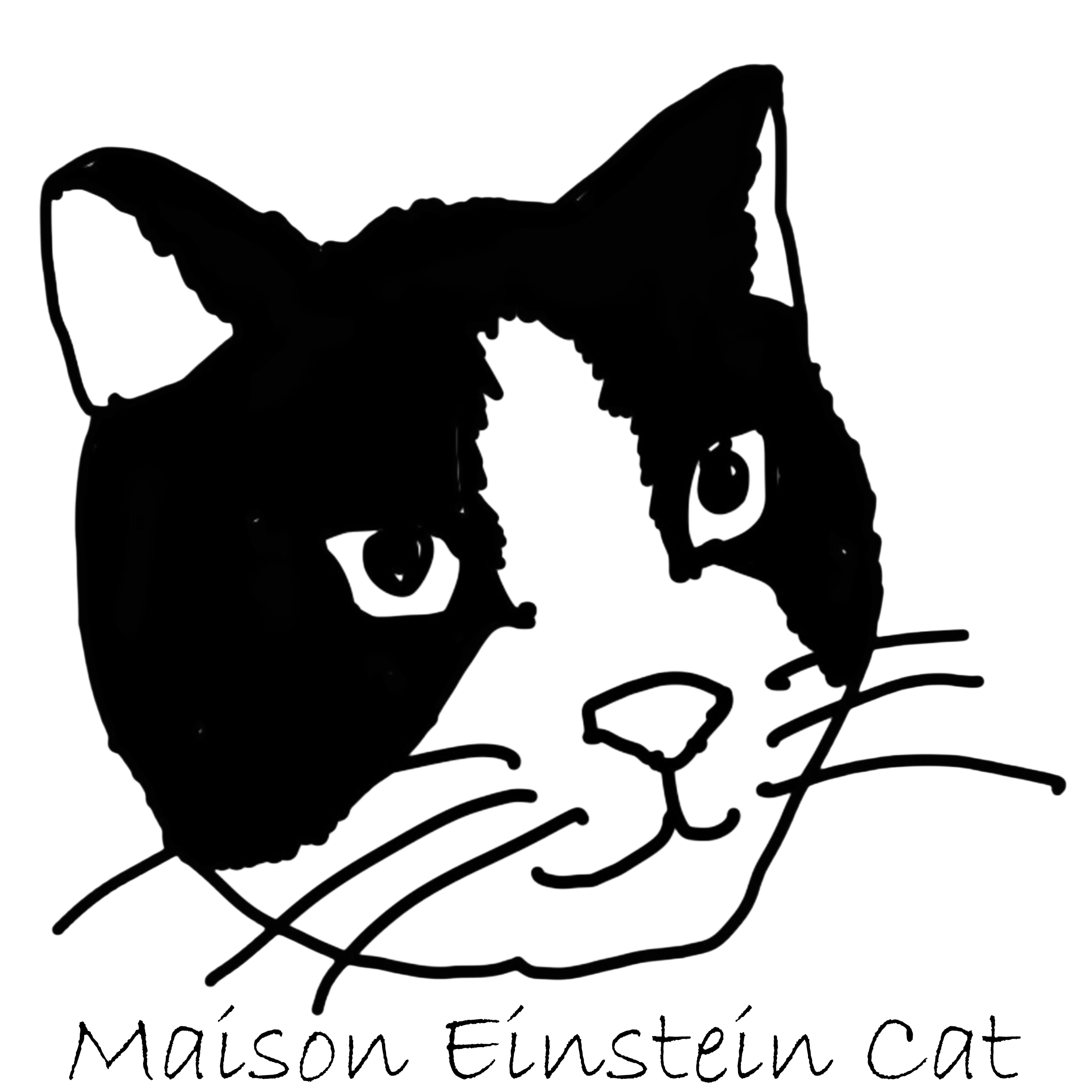 Maison Einstein Cat