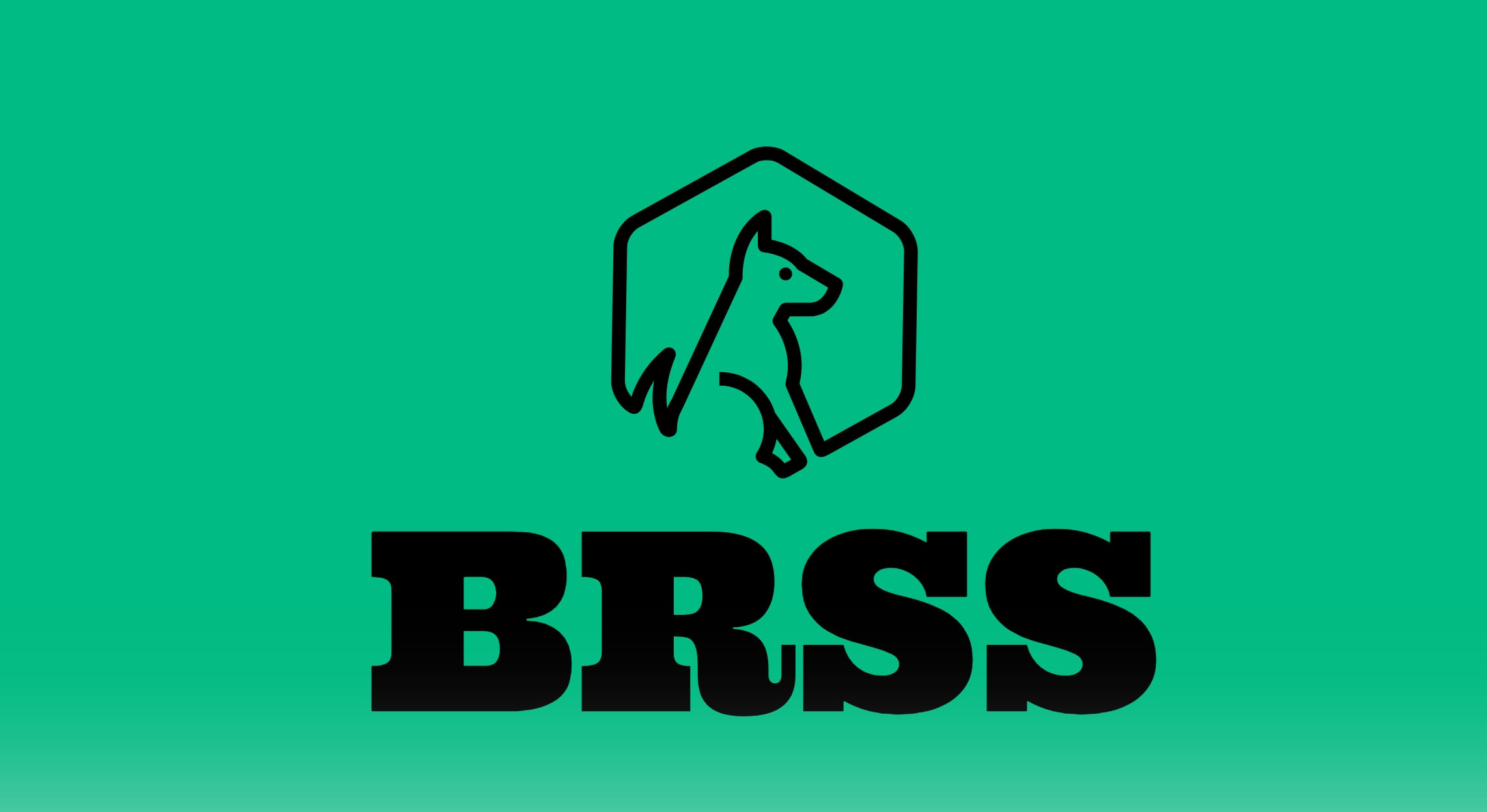 BRSS JAPAN ( ブラス ジャパン ) ブレーキキャリパー・マフラー・レーシングパーツ