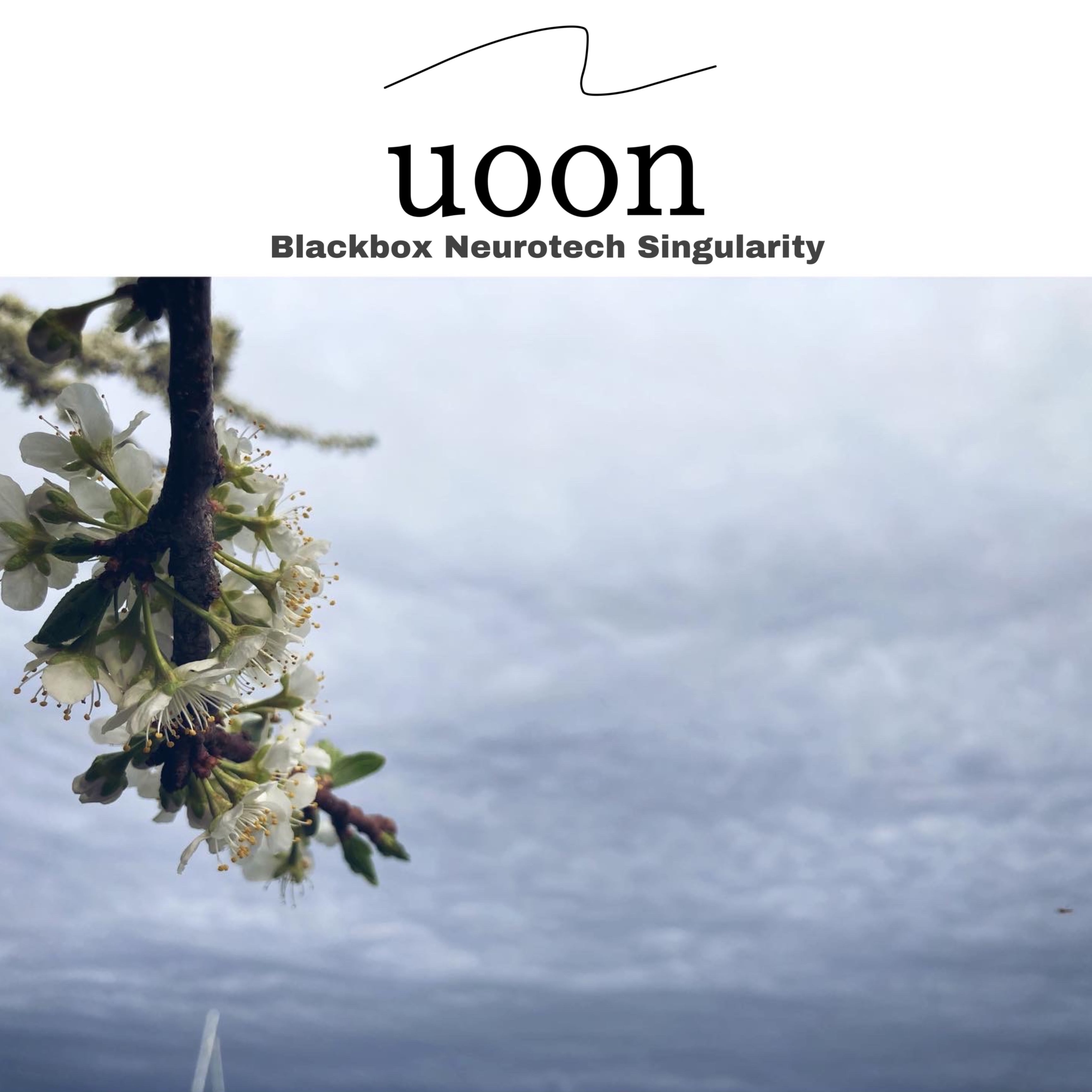uoon －Charity Online Store.
