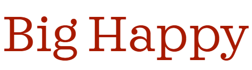 ABOUT | Big Happy