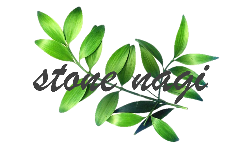 stone nagi