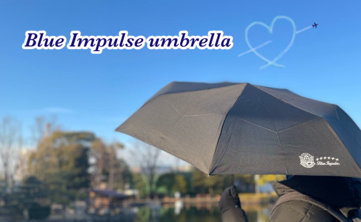 Blue Impulse umbrella