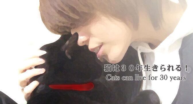 M.select (presented by Mirai)