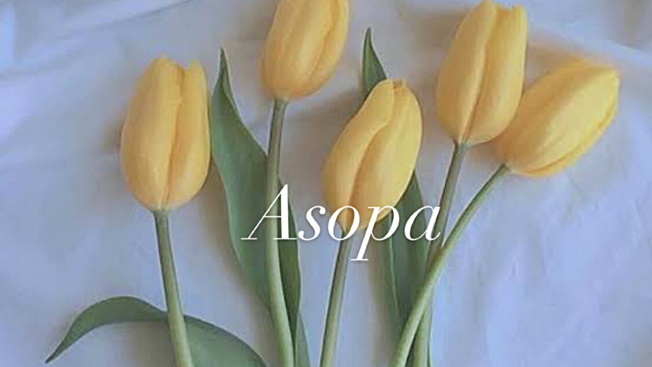 Asopa