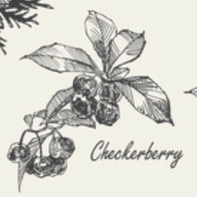 checkerberry