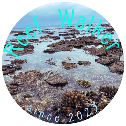 Reef Walker(リーフウォーカー) ハンドメイドルアー