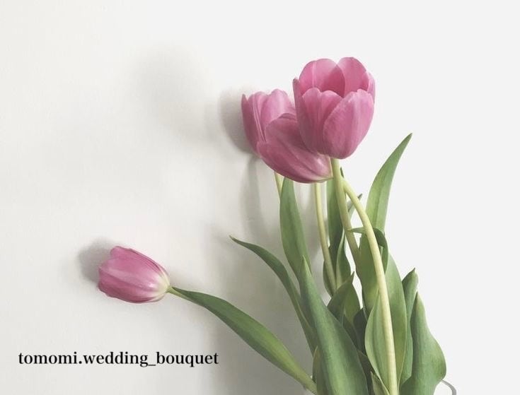 tomomi.flower