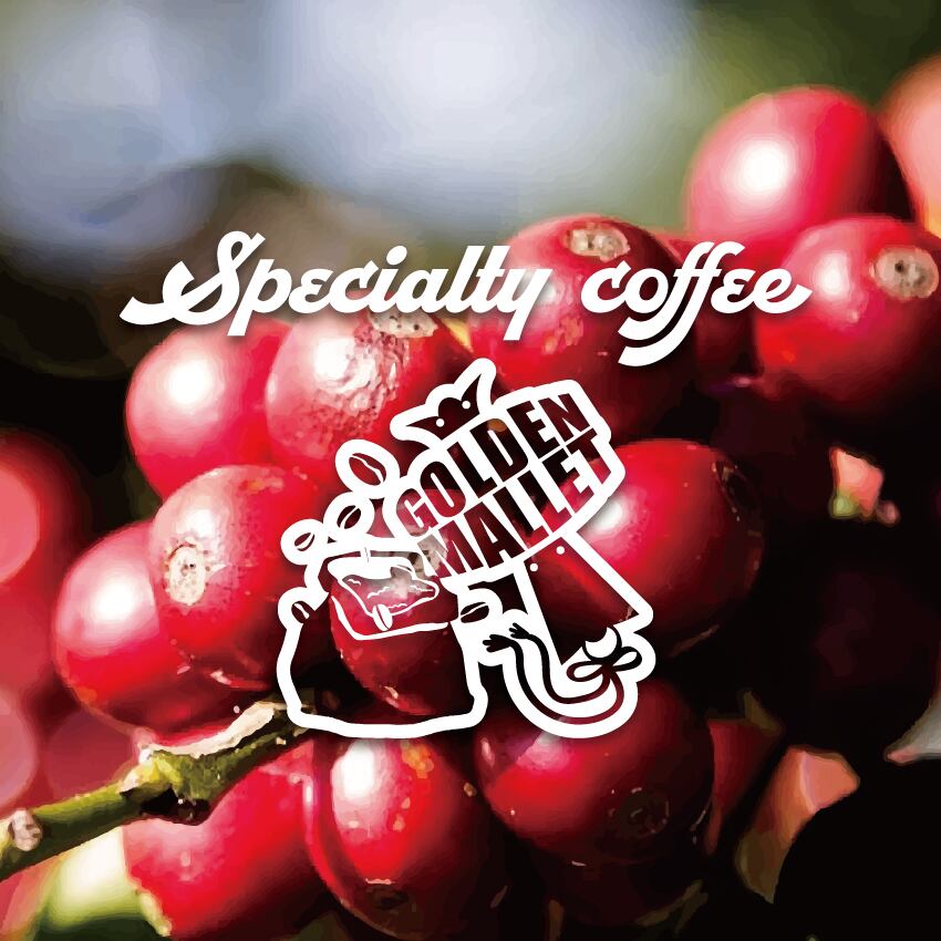golden mallet coffee