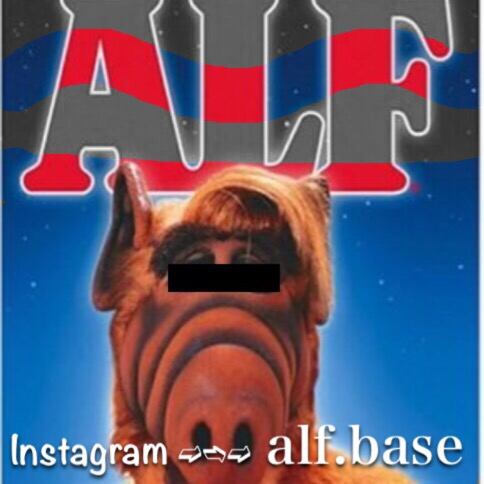 ALF