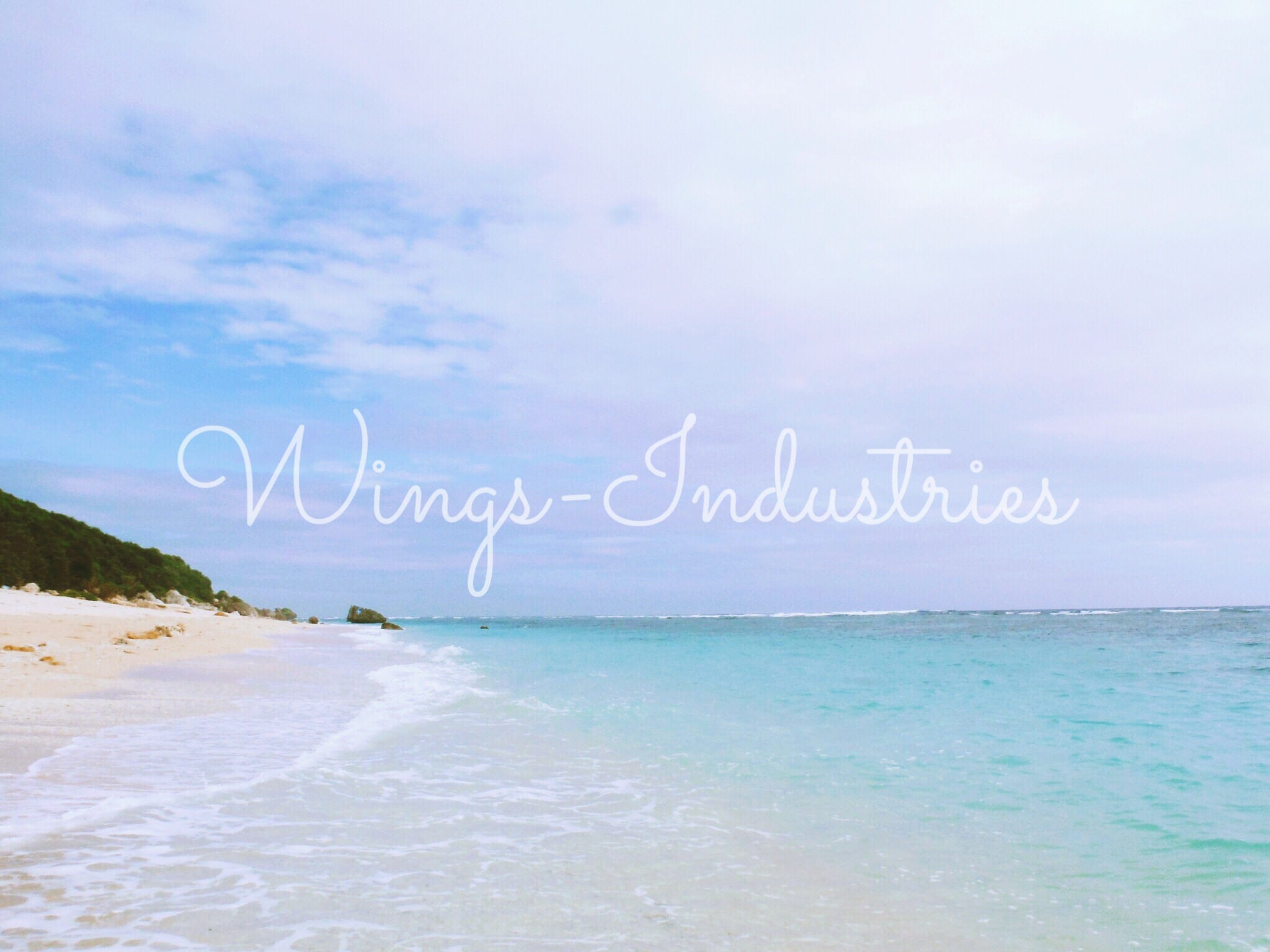 WINGS-INDUSTRIES