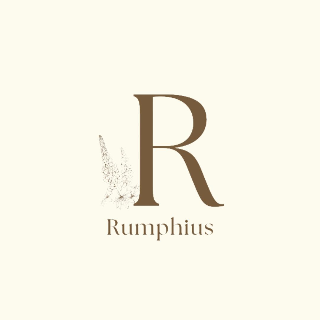 Rumphius