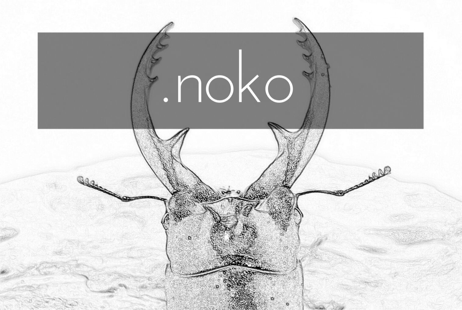 .noko