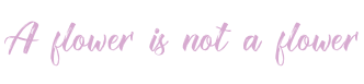ALL ITEM | A flower is not a flower