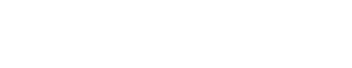 TRAZMODEL