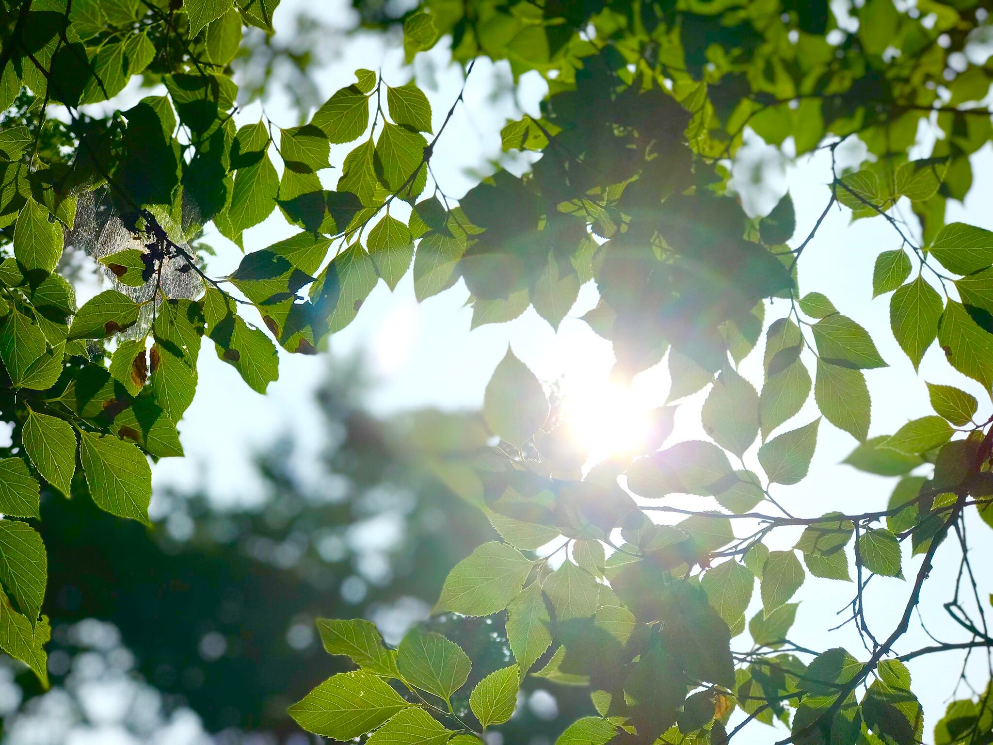 MOMOLO〜Healing space