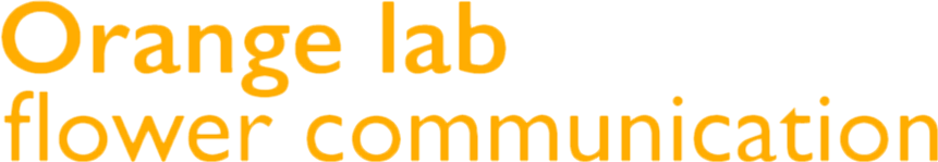 ALL ITEM | Orange lab