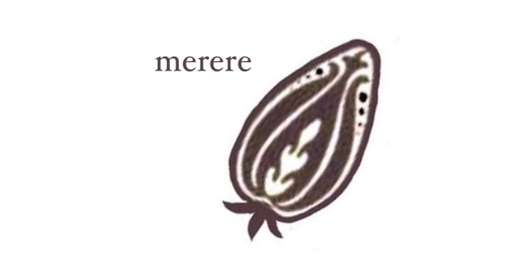 merere