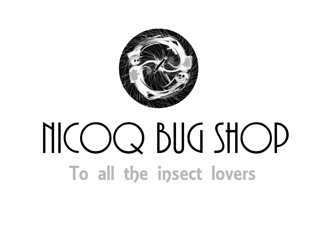 ALL ITEM | Nicoq Bug Shop