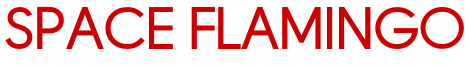 SPACE FLAMINGO