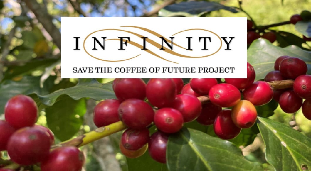 株式会社インフィニティ INFINITY CO.,LTD.