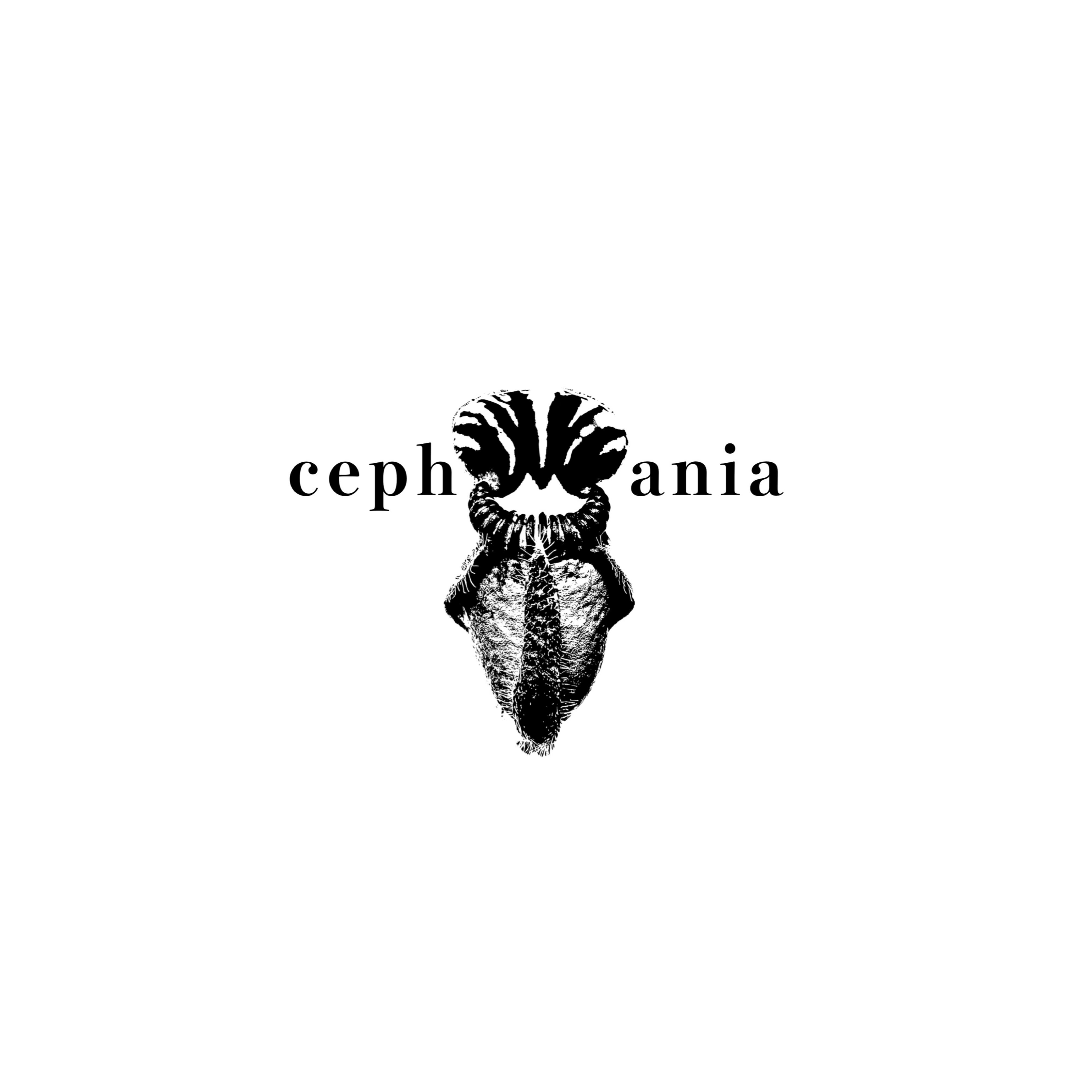 PLANTS LIST | cephMania