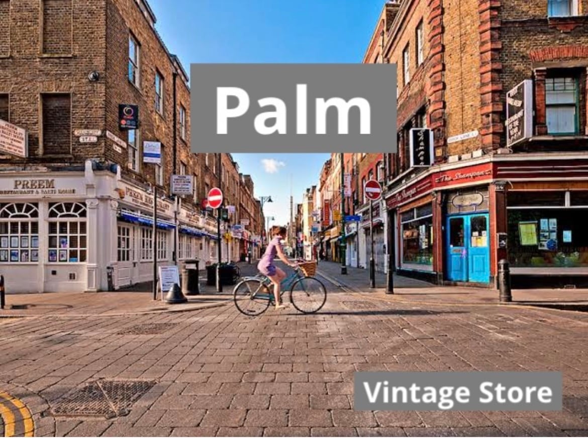 Palm Vintage Store