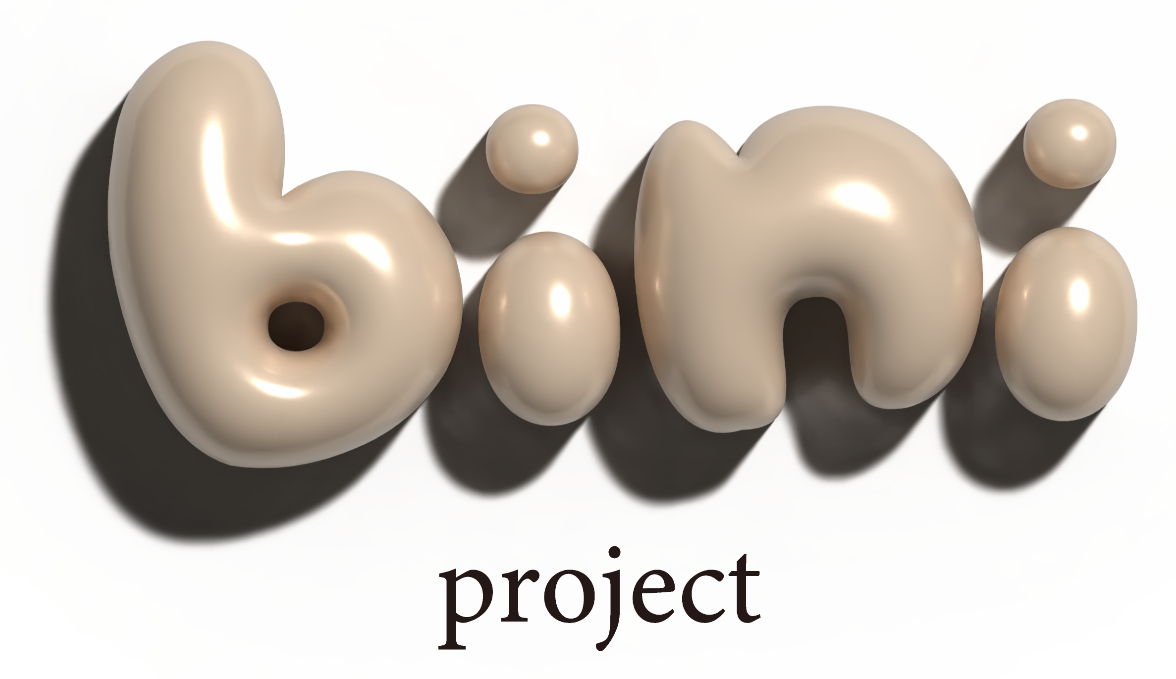 bini project˚