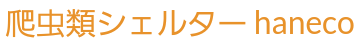 爬虫類シェルター haneco