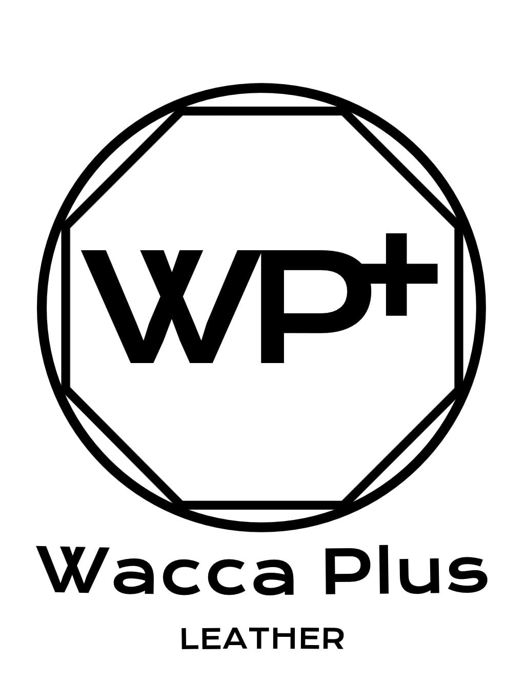 Wacca Plus