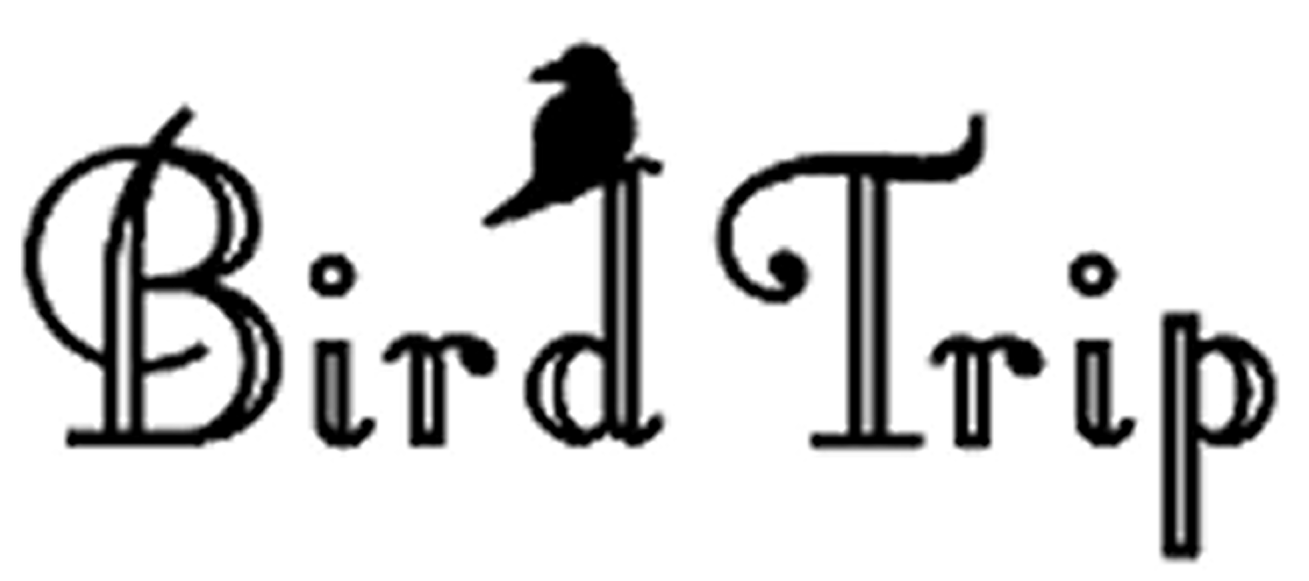 Bird Trip公式オンラインSHOP開設！ | Bird Trip