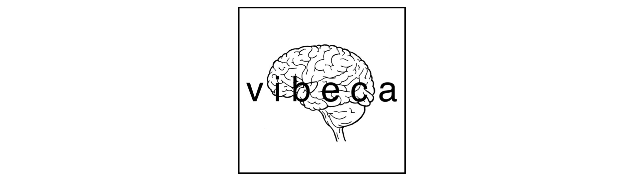 vibeca official